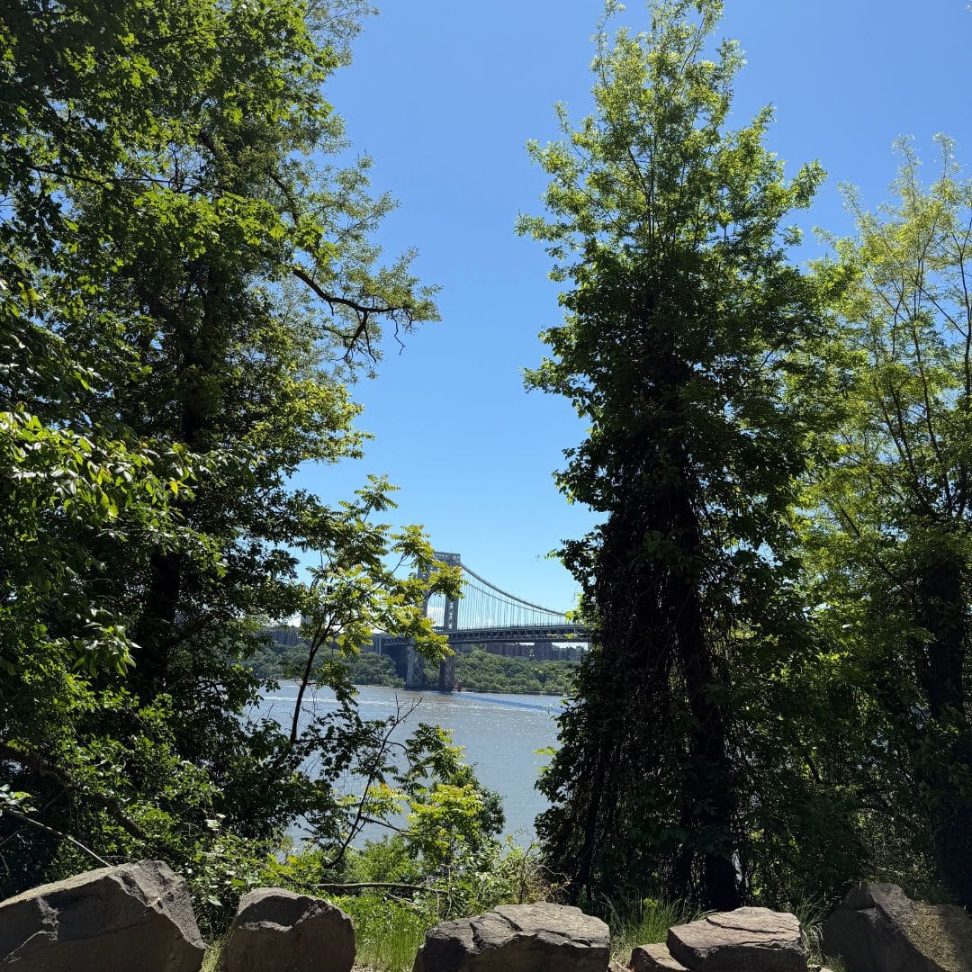 New Sushi Restaurant, Butterfish, Opens in Rutherford - The Bergen ...