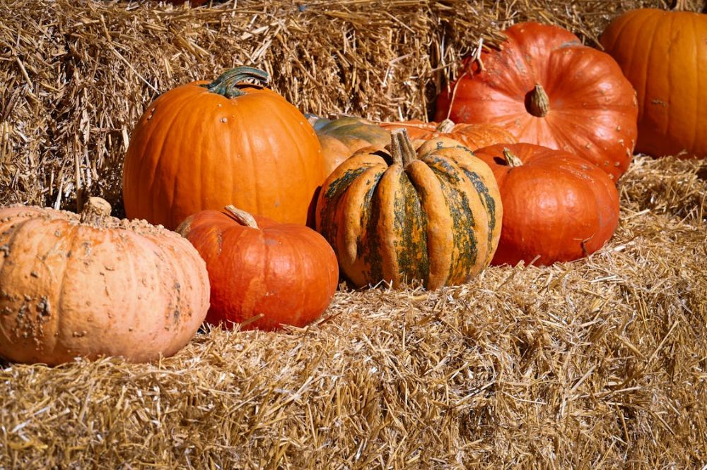 October 2025 Events in Bergen County, NJ - The Bergen County Girl