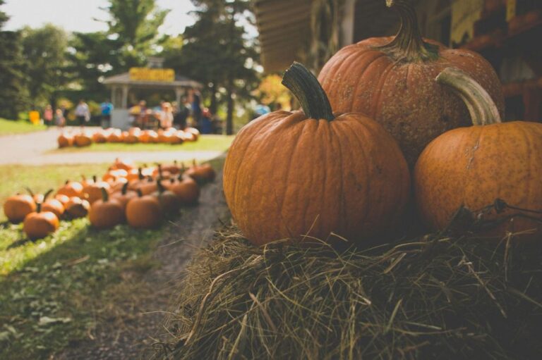 2025 Bergen County Fall Harvest Festival Happening in Ridgefield Park ...