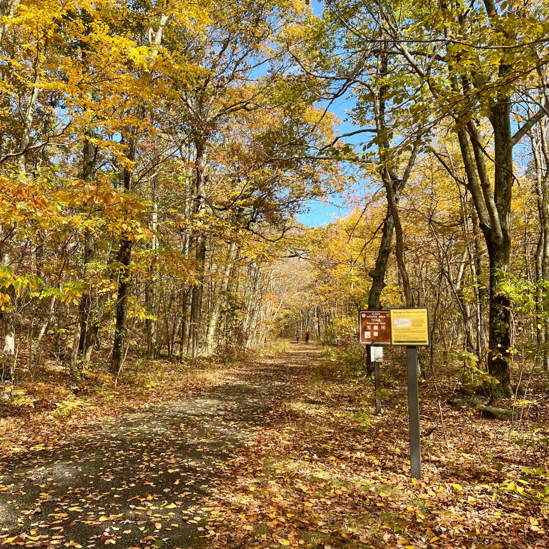 High Point State Park: All About New Jersey's Highest Elevation - The ...