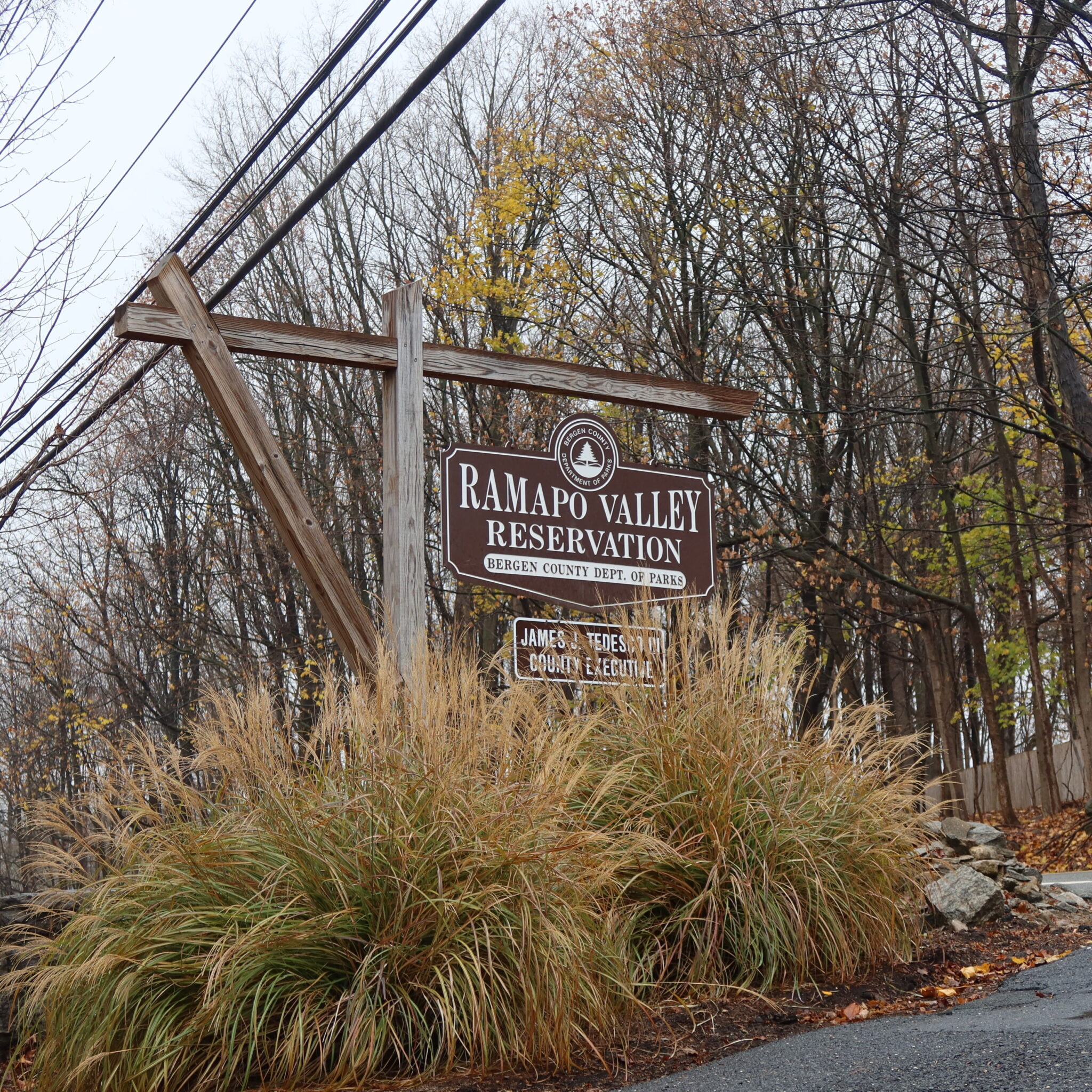 Mahwah's Ramapo Valley County Reservation is a Year-Round Destination ...