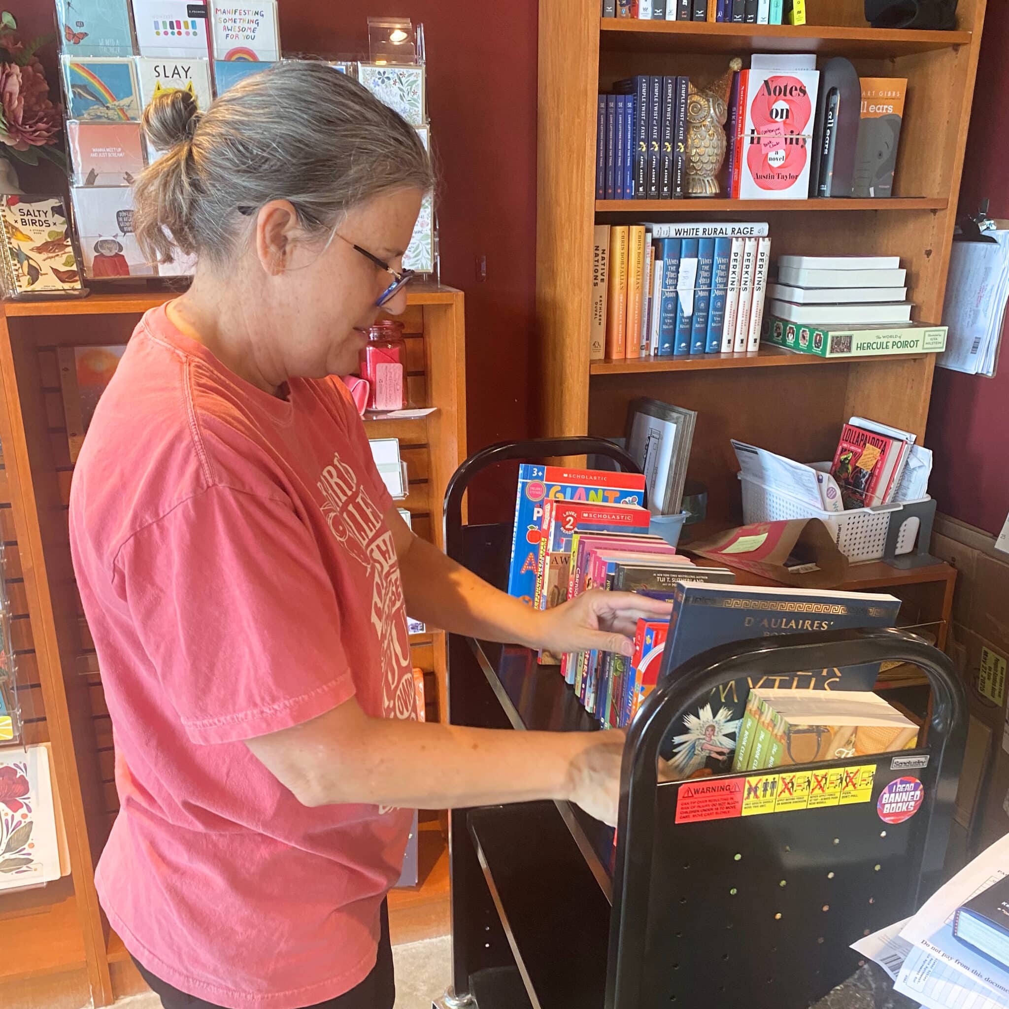 Bards Alley Bookshop: Vienna's Indie Book Store - The Fairfax Girl
