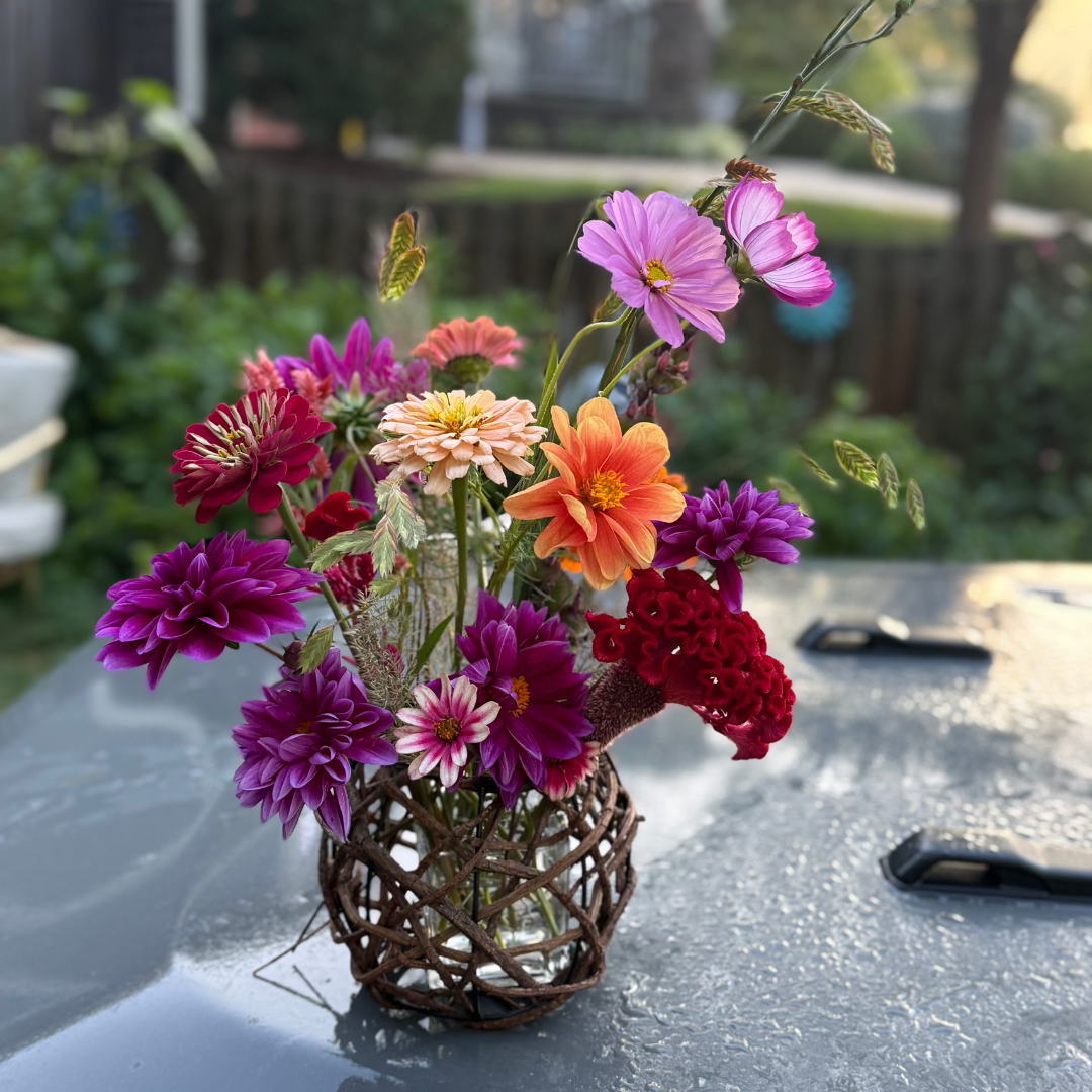 All About Lisa Waters, a Homegrown Vienna Florist - The Fairfax Girl