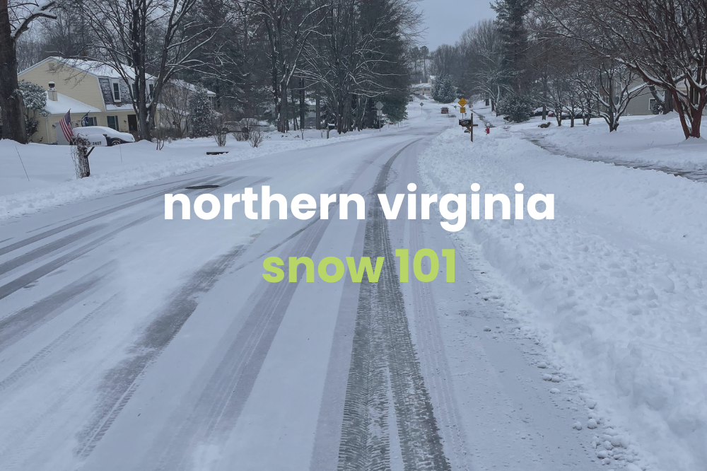 Northern Virginia Snow: Emergency Resources Guide + Everything You Need ...