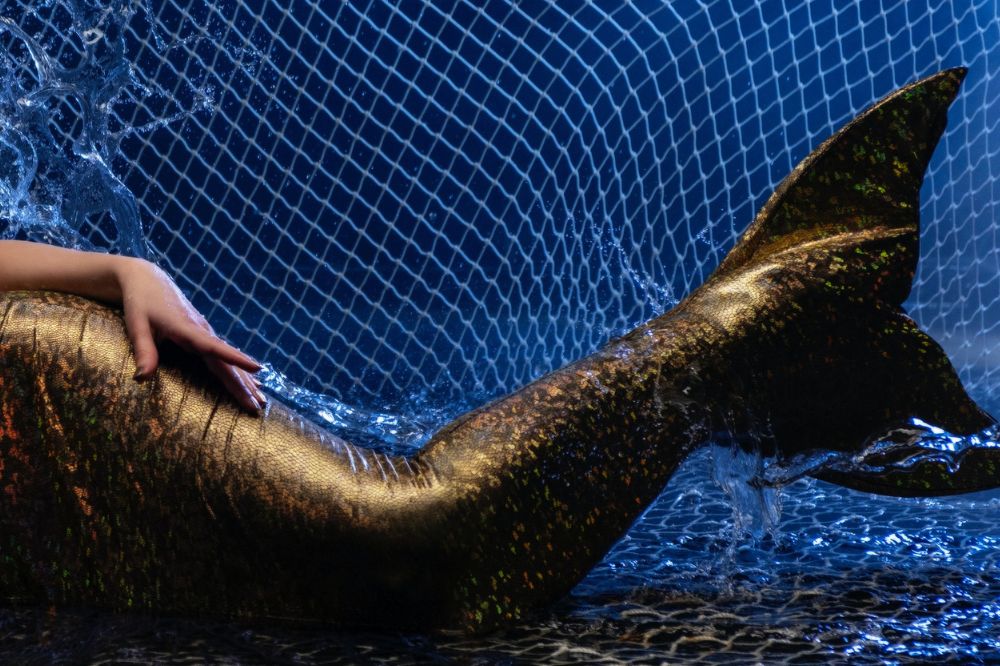 The History Behind Mermaids in New Jersey - The Jersey Shore Girl