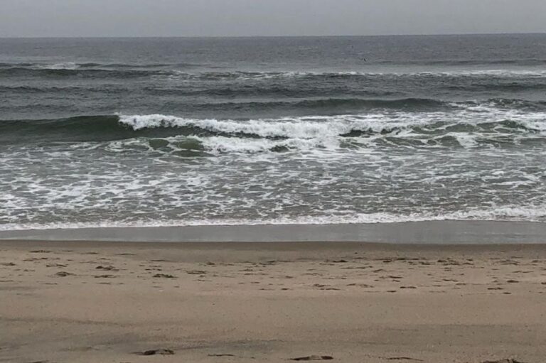 14 Free New Jersey Beaches Worth Visiting - The Jersey Shore Girl