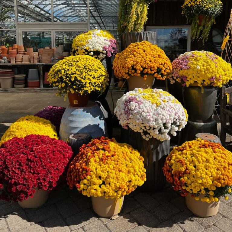 November 2024 Events at the Jersey Shore - The Jersey Shore Girl