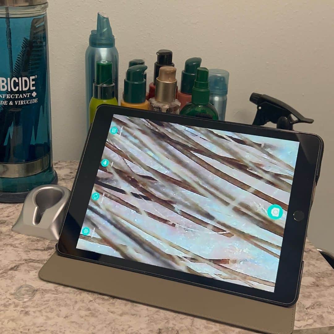 HolistiClean Head Spa: Monmouth County’s First Micro-Bubble Scalp ...