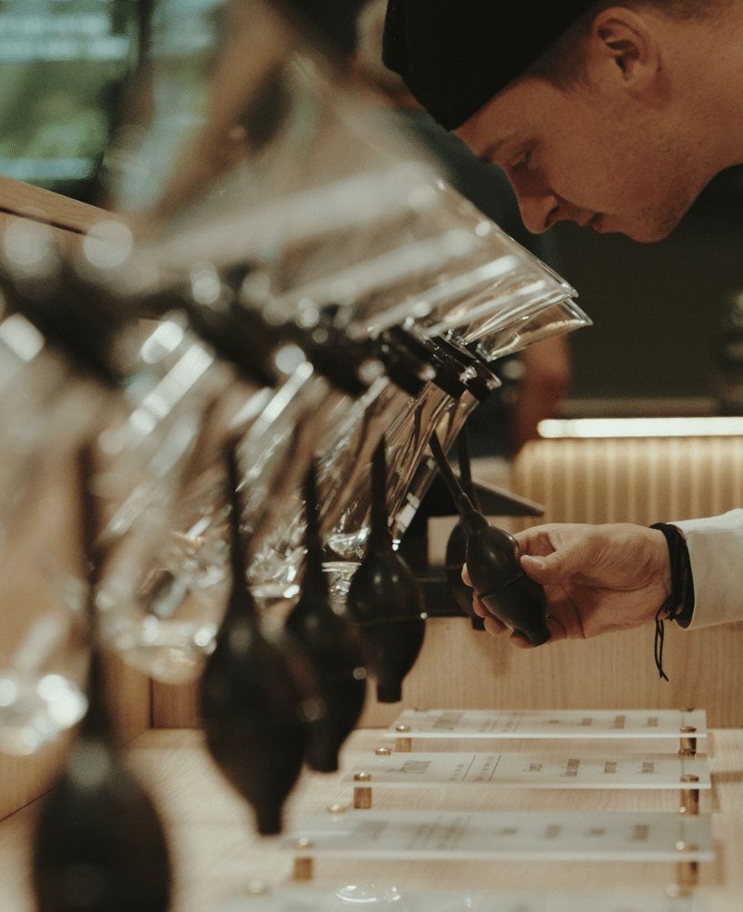 Earth & Ivy Cannabis Dispensary Opens in Lakehurst, NJ - The Jersey Shore Girl