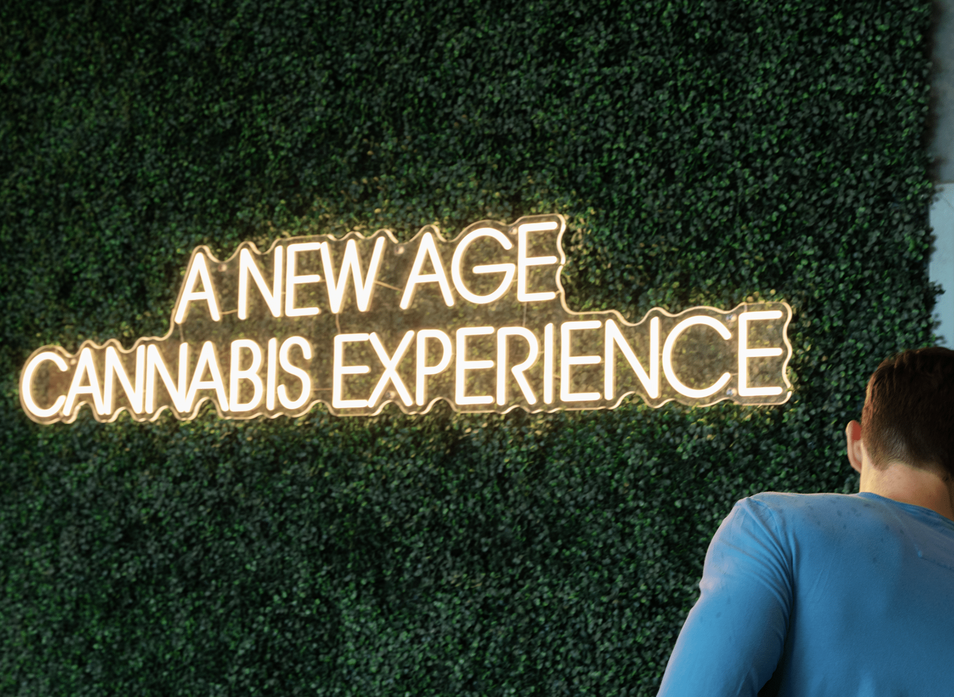 Earth & Ivy Cannabis Dispensary Opens in Lakehurst, NJ - The Jersey Shore Girl