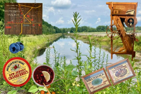 Earth & Ivy Cannabis Dispensary Opens in Lakehurst, NJ - The Jersey Shore Girl