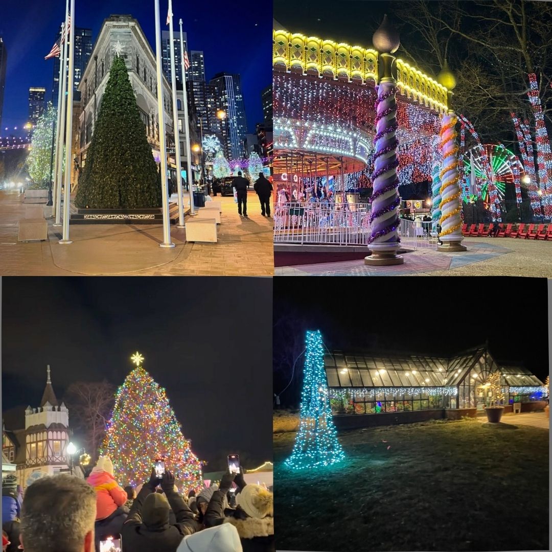 15 Holiday Light Shows to Visit in New Jersey for 2025 - The Local Girl